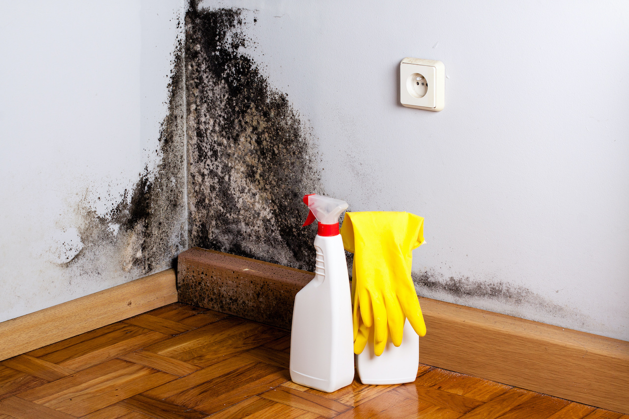 Mold Removal And Remediation - K & G Restoration LLC